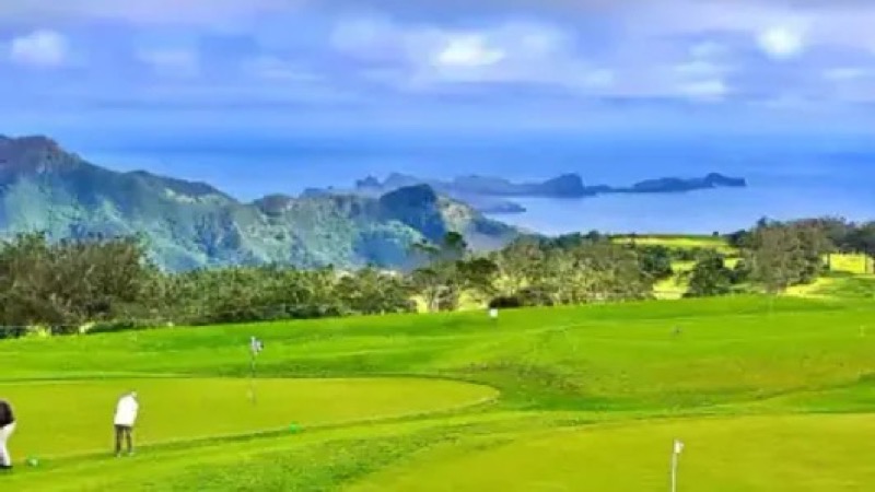 Madeira Live Webcams | Beaches, Funchal Harbor & Mountains…